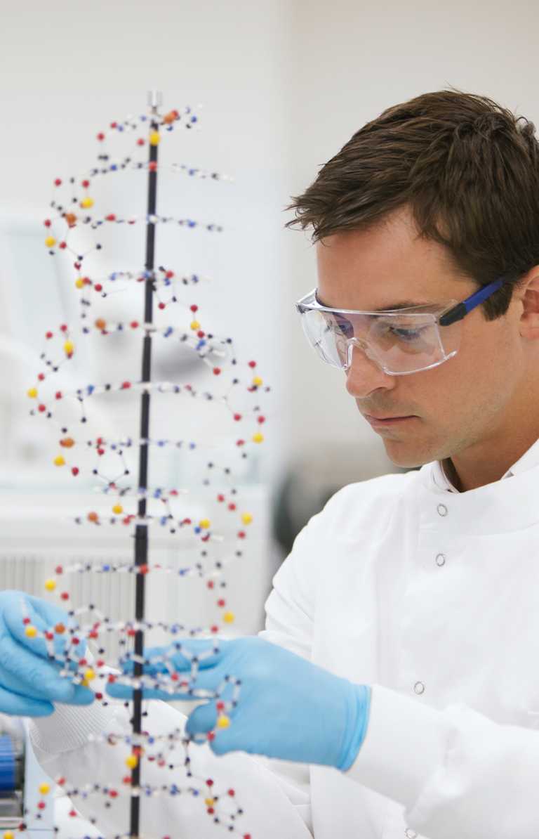 Pathology Residency Program | Montefiore Einstein