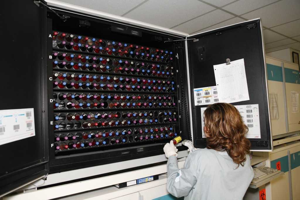 Pathology Residency Program | Montefiore Einstein