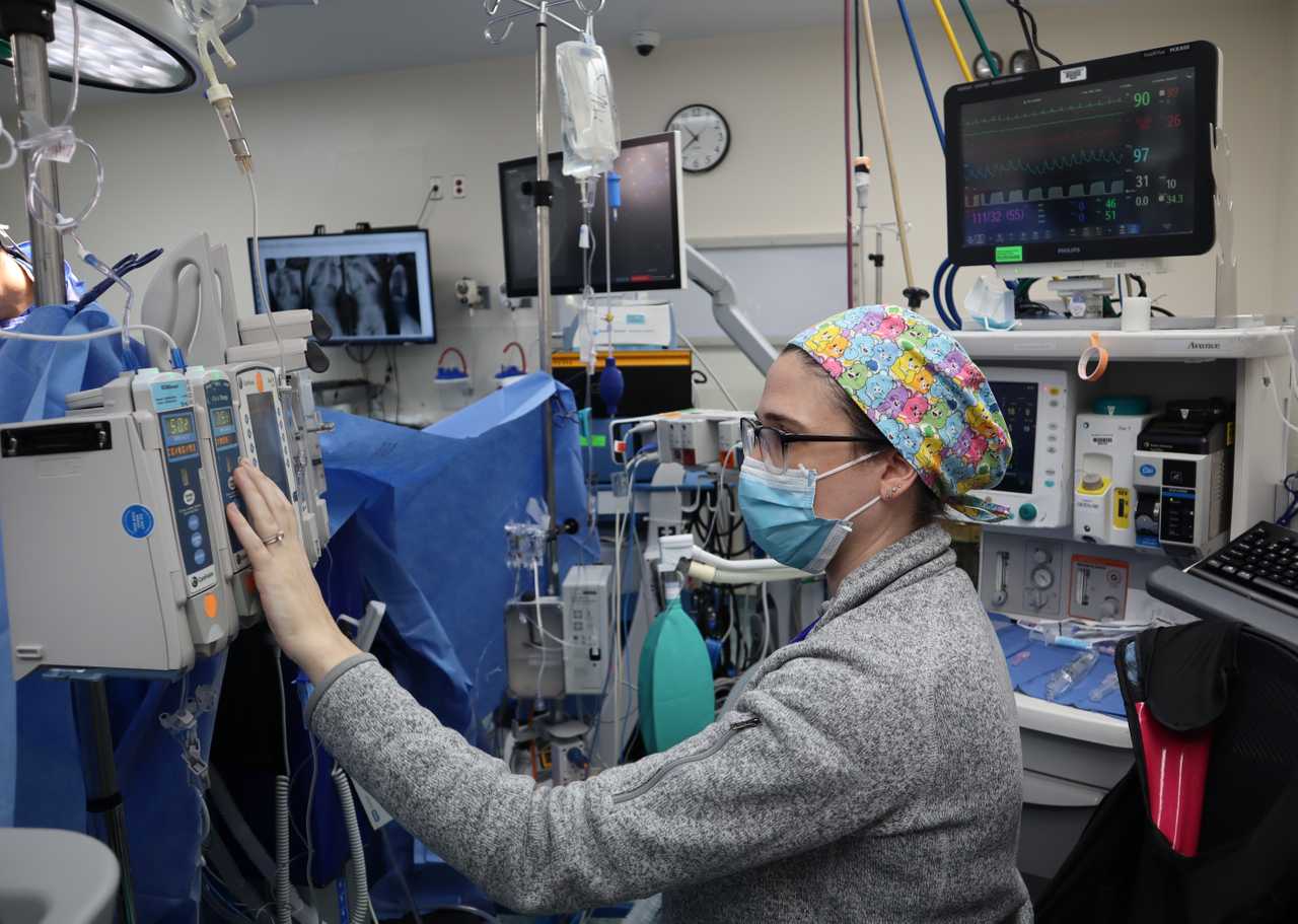 Anesthesiology Fellowship Program | Montefiore Einstein