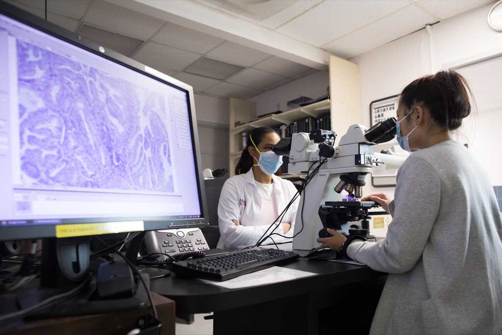 Pathology Residency Program | Montefiore Einstein