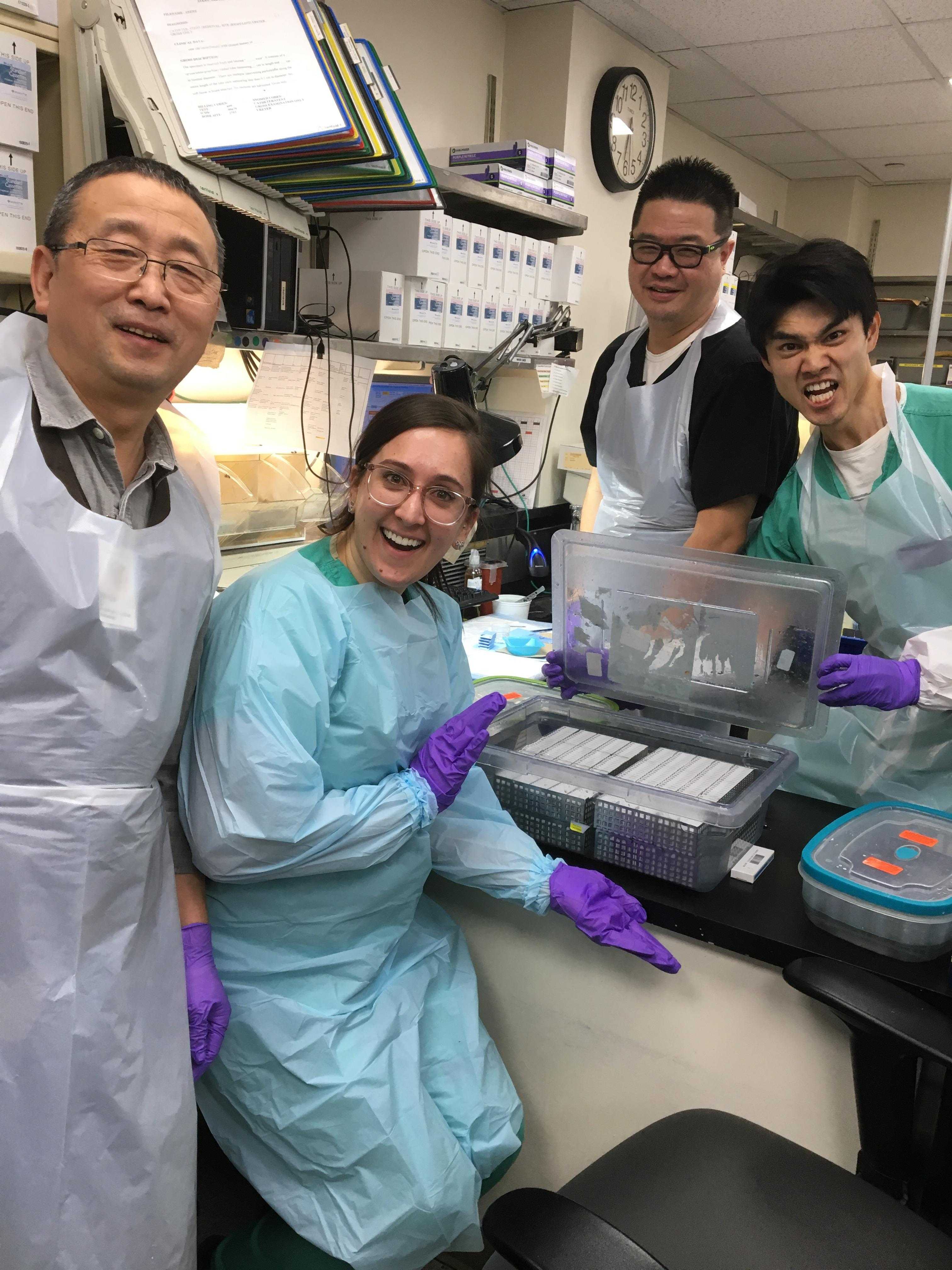 Pathology Residency Program | Montefiore Einstein