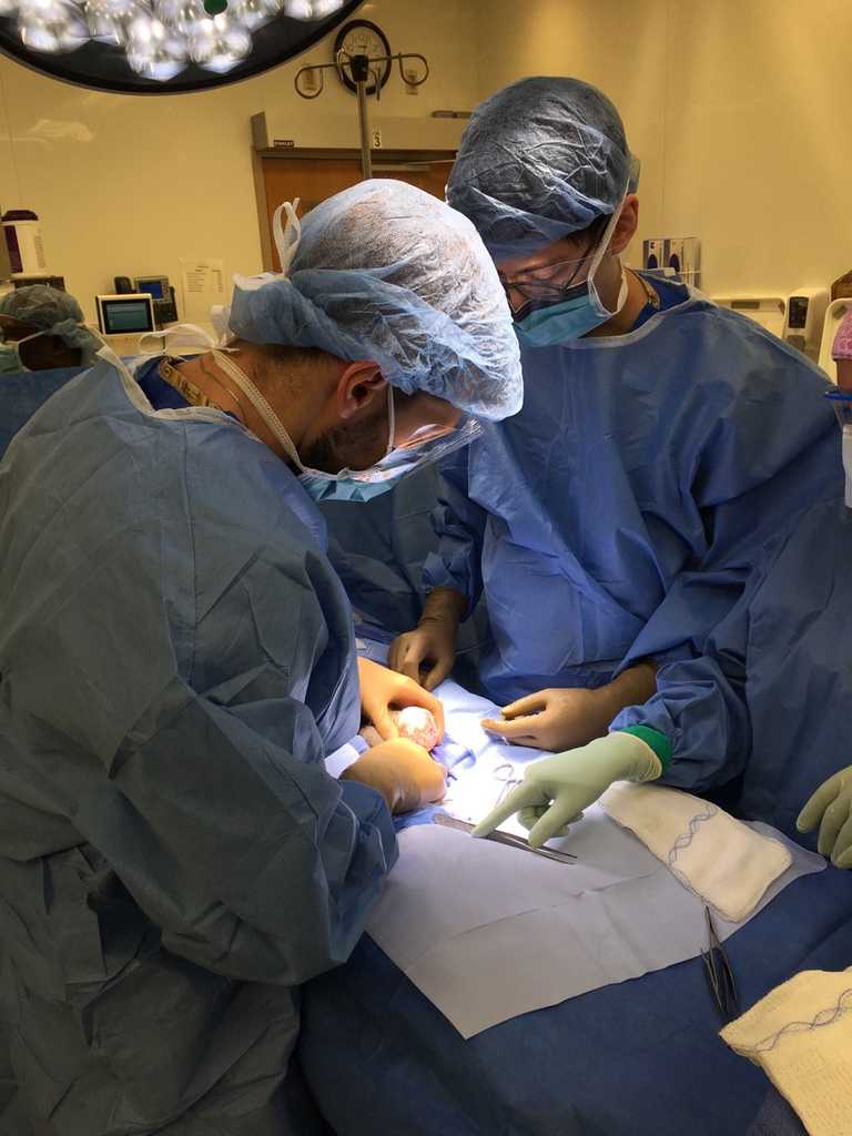 Urology Residency Program | Montefiore Einstein