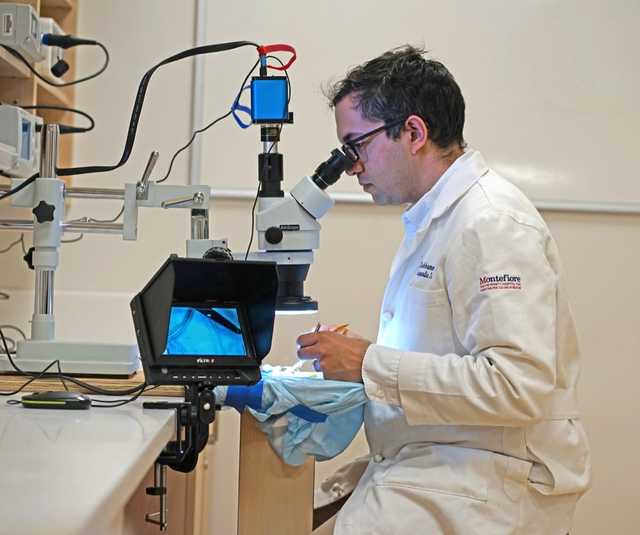 Orthopedic Surgery Residency Program | Montefiore Einstein