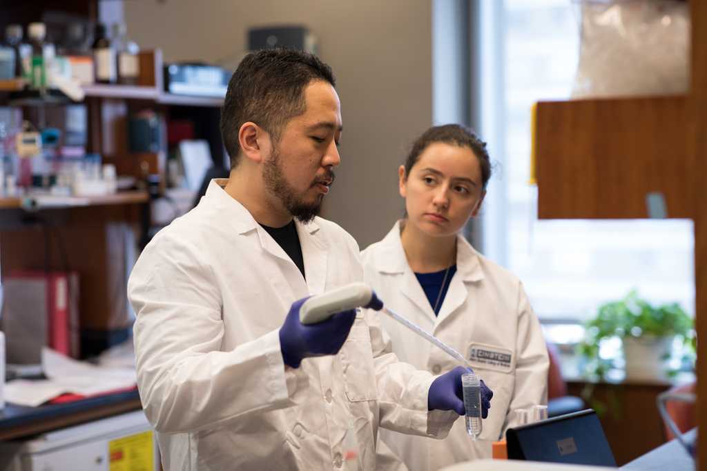 Medicine Fellowship Programs | Montefiore Einstein