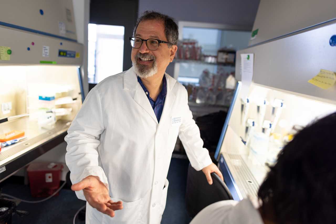 Pediatrics Residency Program | Montefiore Einstein