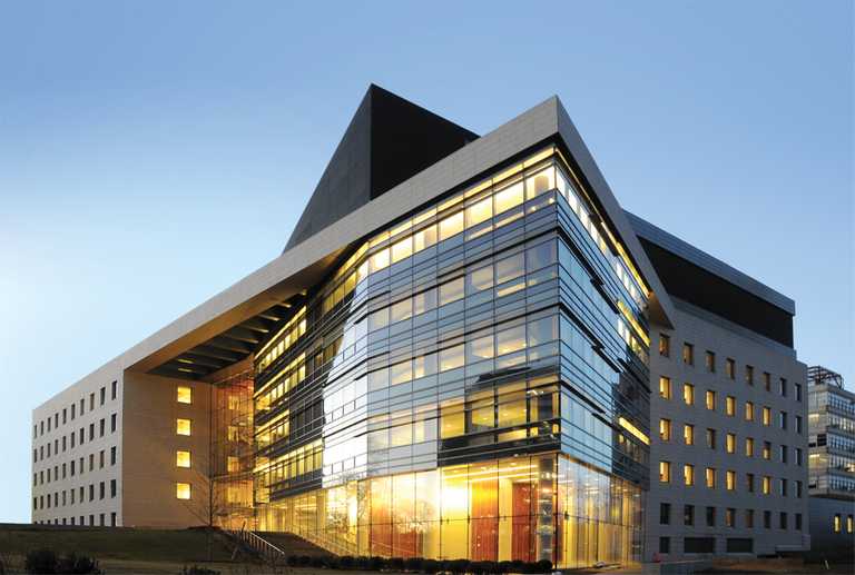 Medicine Fellowship Programs | Montefiore Einstein